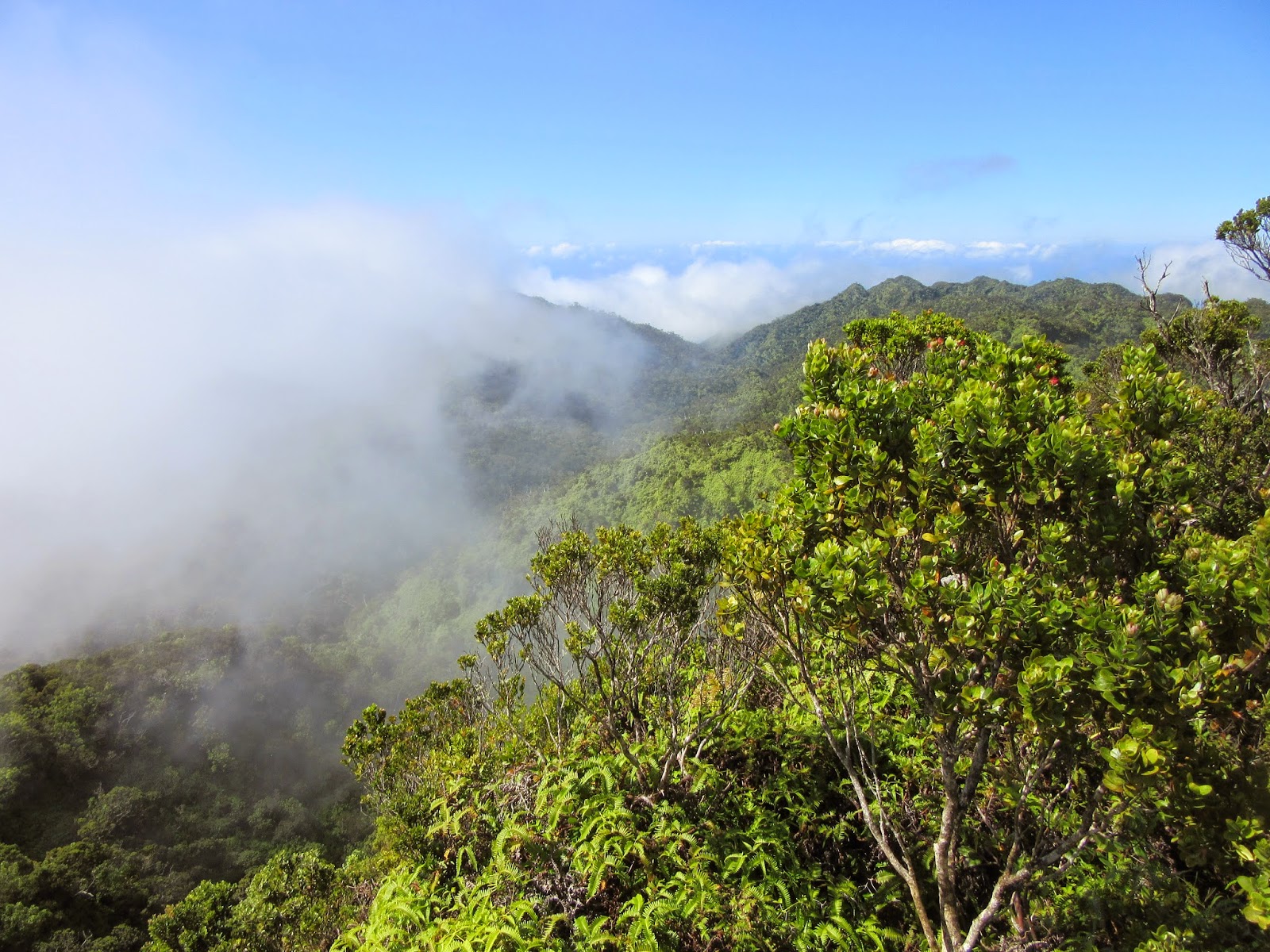 2014 Na Pali Challenge Outrigger Race