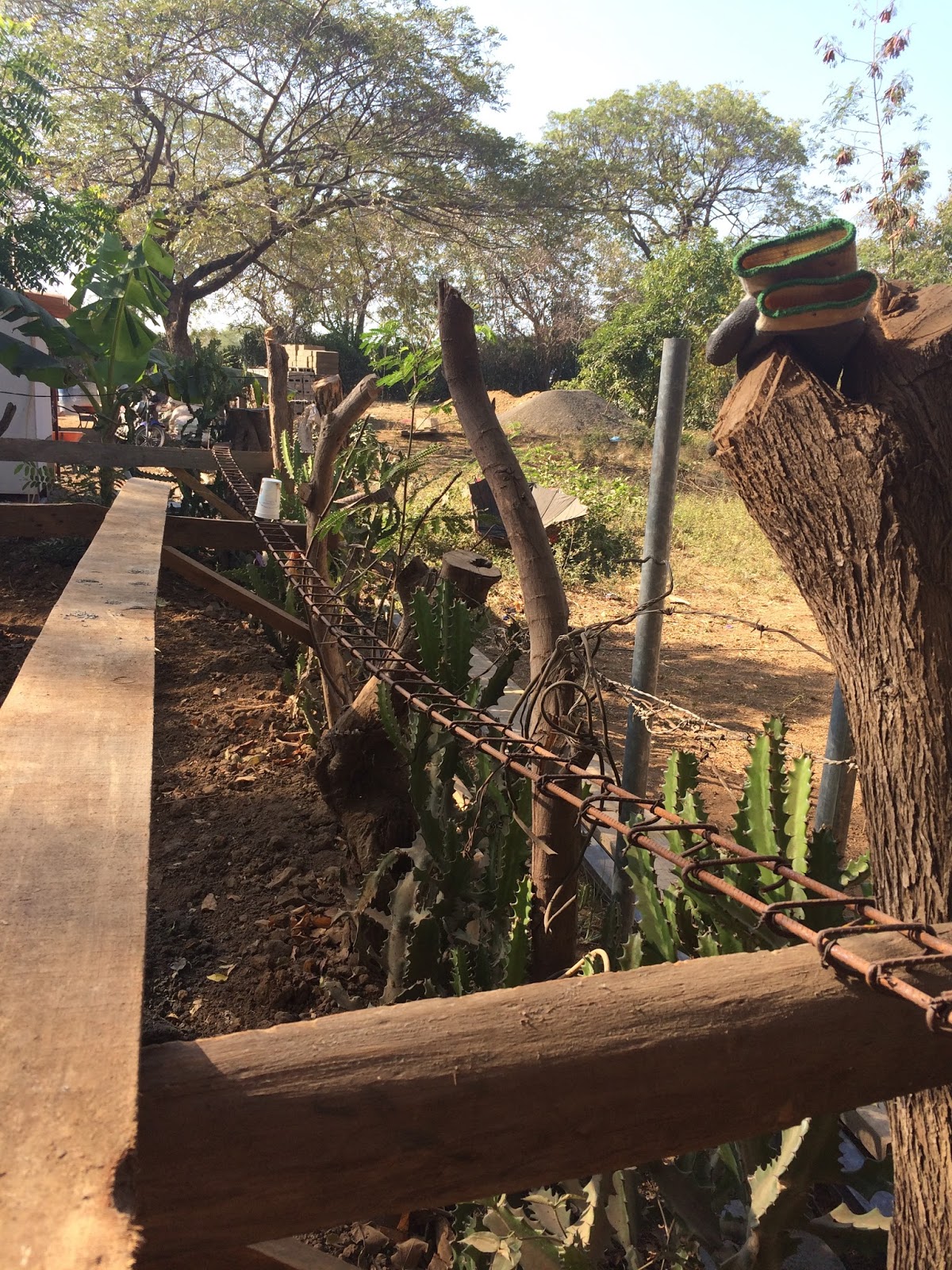 jenniestinyhouse: Building a seed house