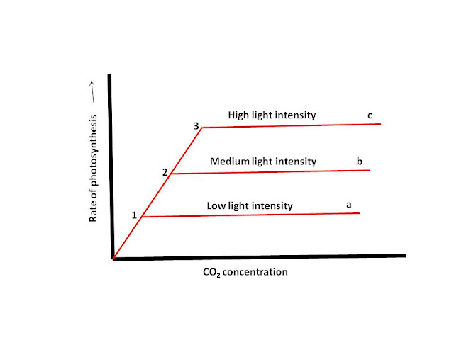 SCIENCENOTES: Law of Limiting Factor