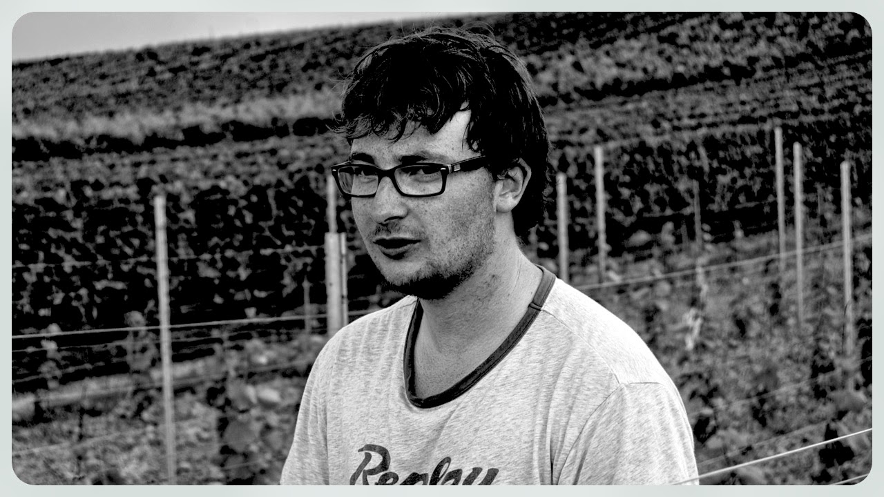 MARKUS BRANDT: DER MICHEL AUS DITTELSHEIM-HEßLOCH