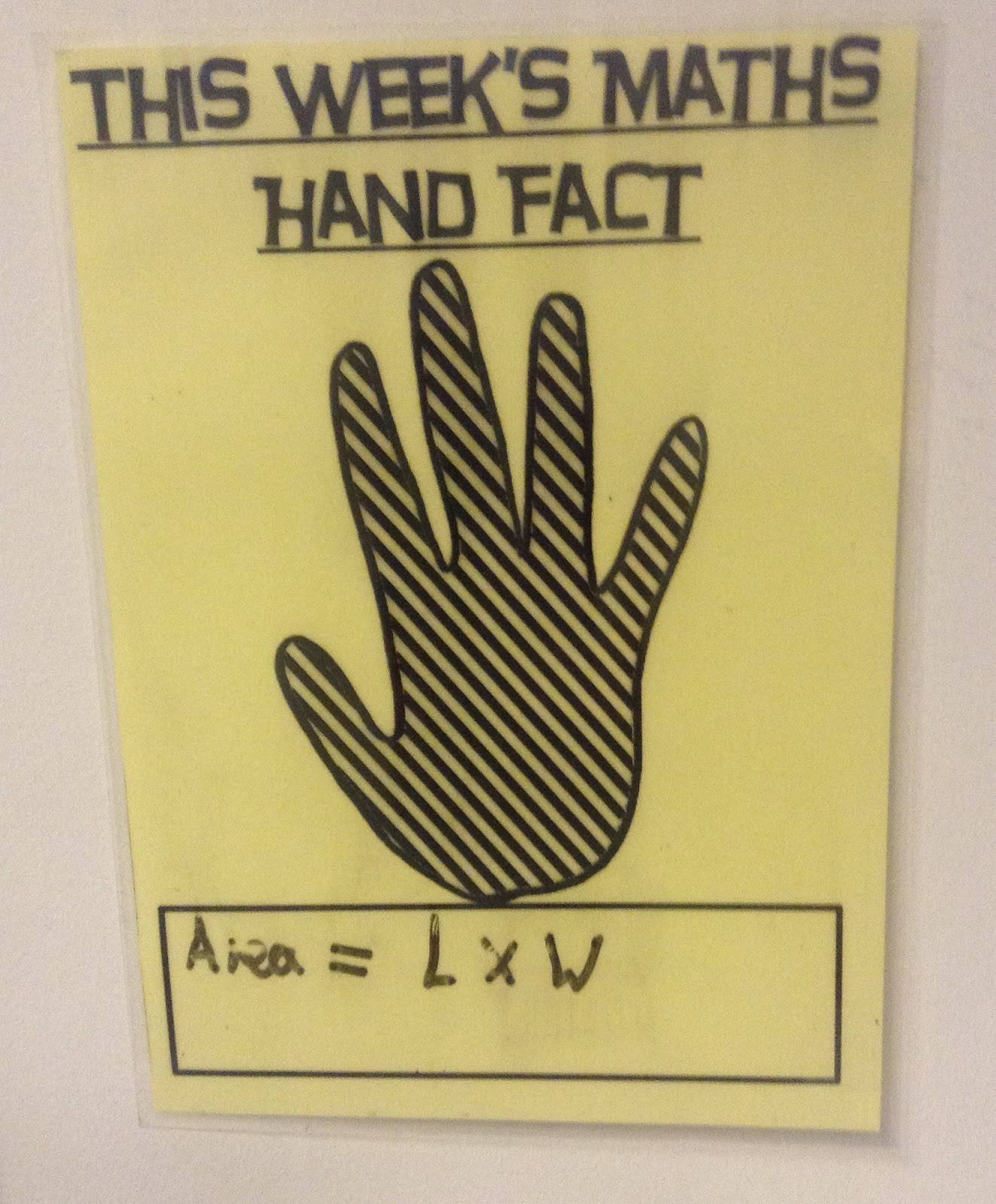Primary Ideas: Hand Facts
