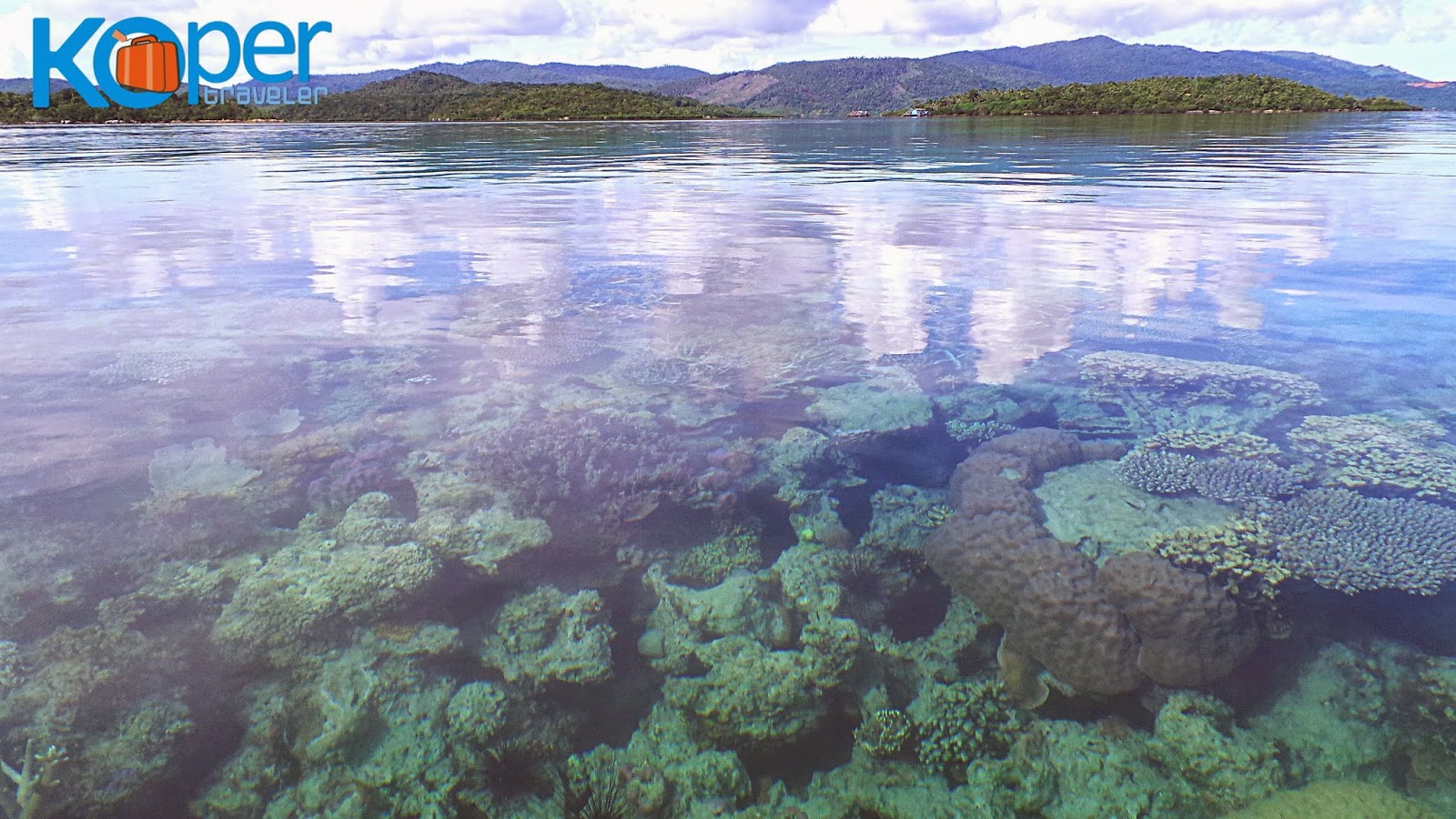 Pulau Temawan, Tarempa Anambas - Koper Traveler