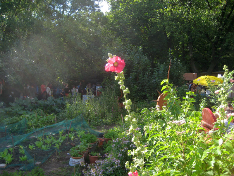 Shut up about Barclay Perkins: Kimchi Farm Festival