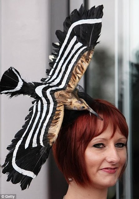 Amazing World Boncu: Top Unique: Shapeful Funny Hats