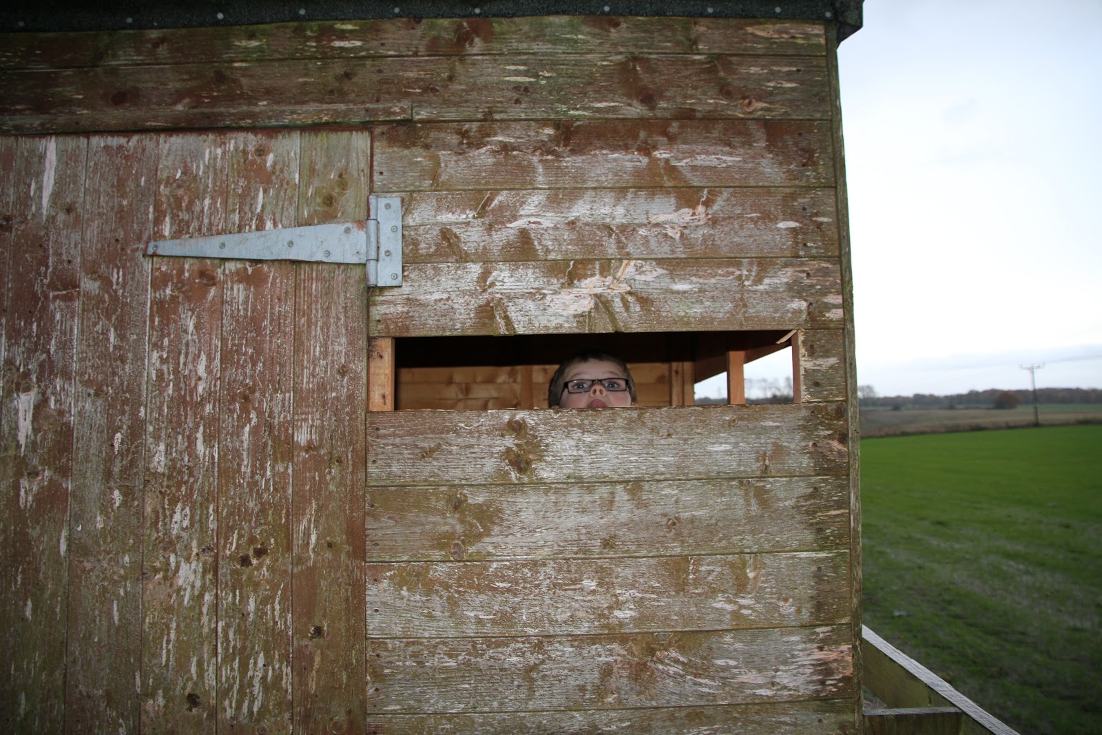 Wilde About Birds: Building My Own Bird Hide