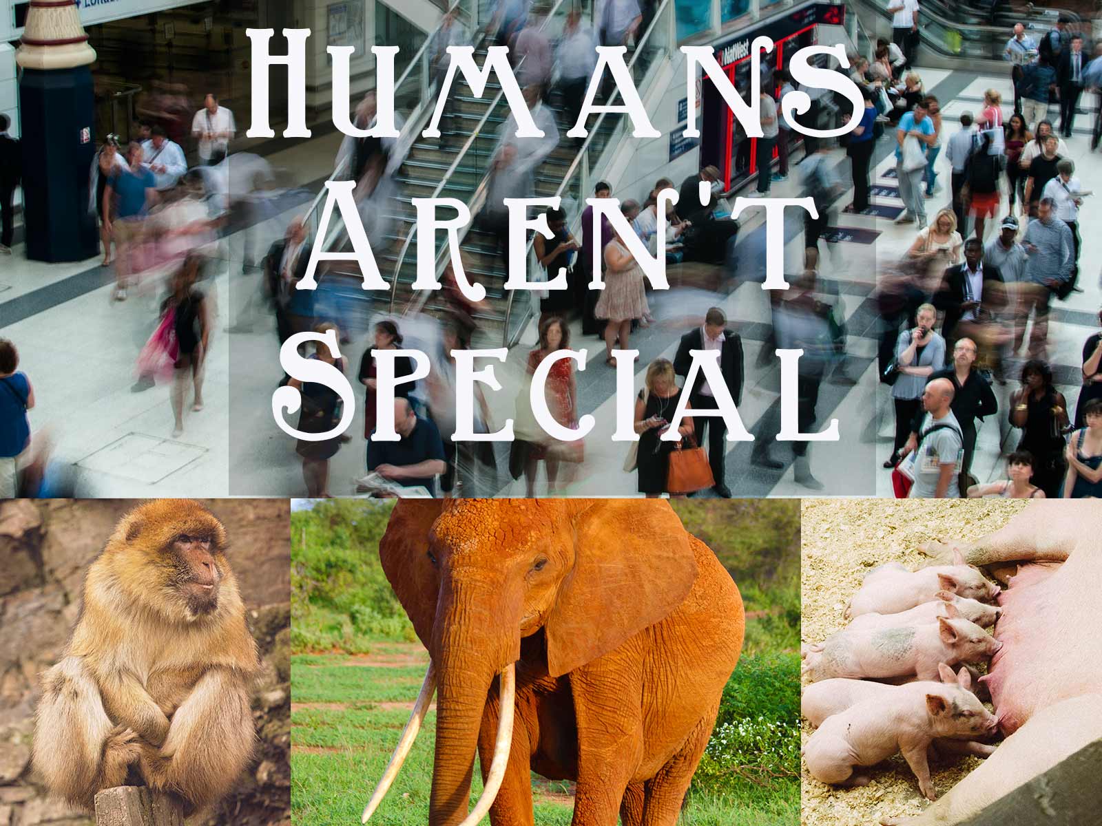 The Receptionist: Learning! Nobody is special.