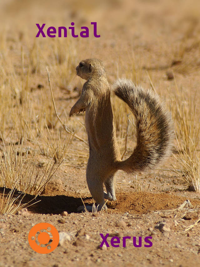 Esbuntu: Ubuntu 16.04 se llamará Xenial Xerus