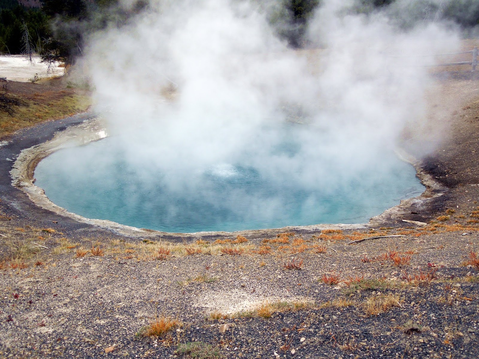 Focusing On Travel : Yellowstone: A Geyser Gazers Guide to the Upper ...
