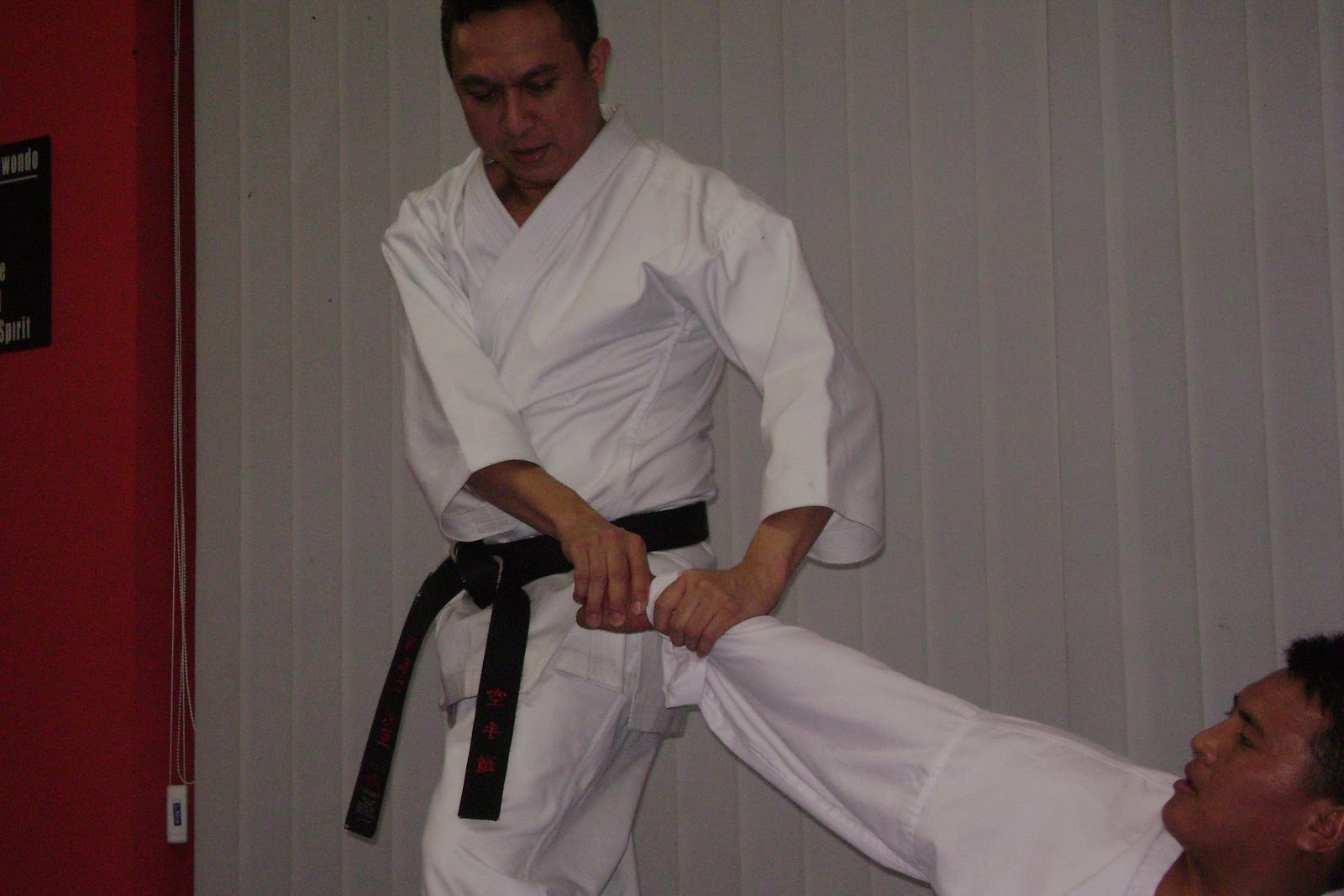 The Stealth Mizu - Ryu Karate Academy: The Stealth Mizu - Ryu Karate ...