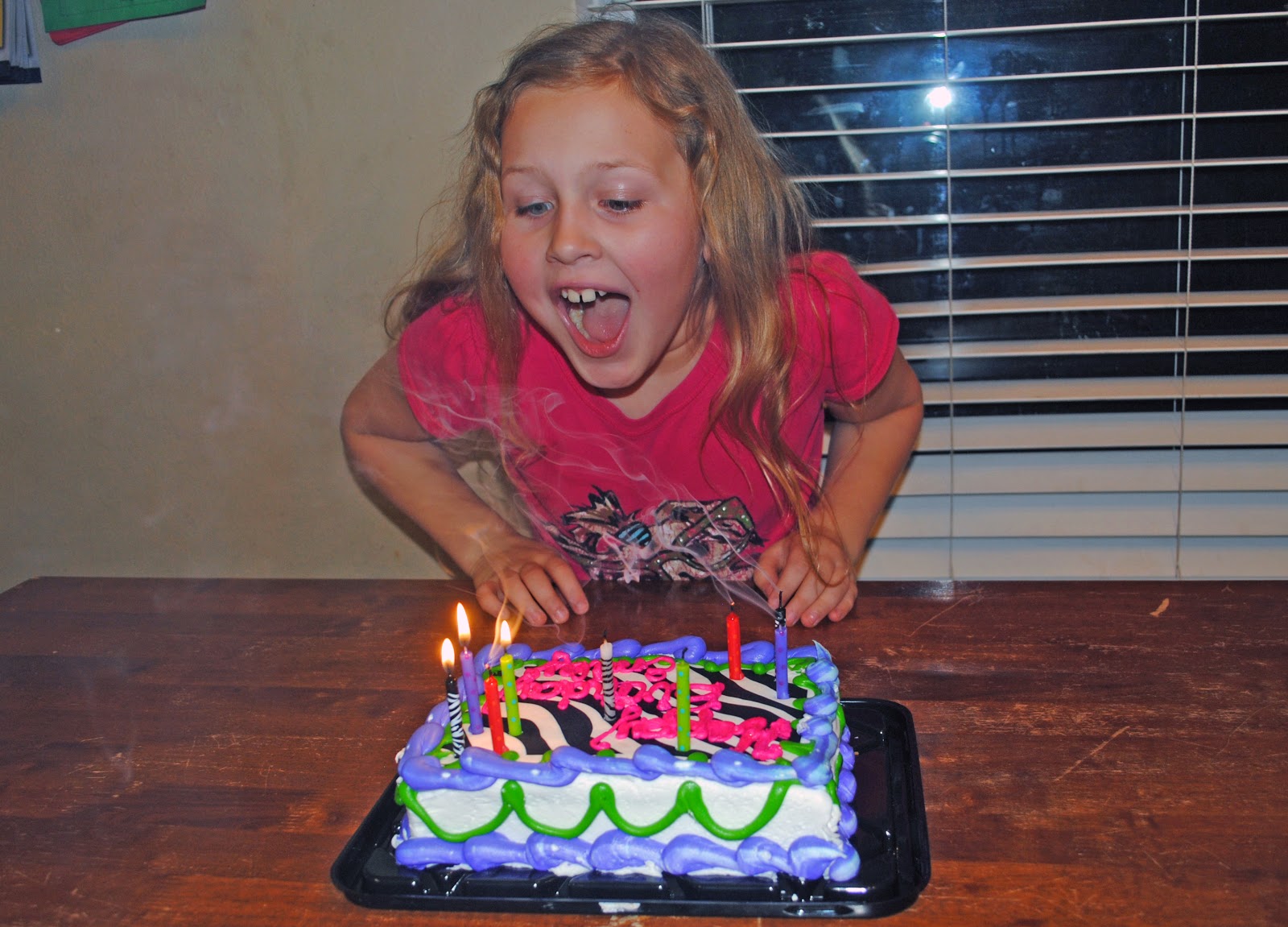 Live Laugh Lopez: Emily's 9th Birthday!