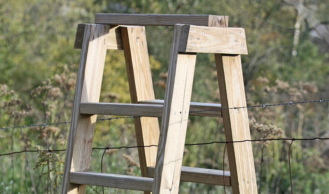 On Wings of Eagles: Barbed Wire, Ladder and Wisdom