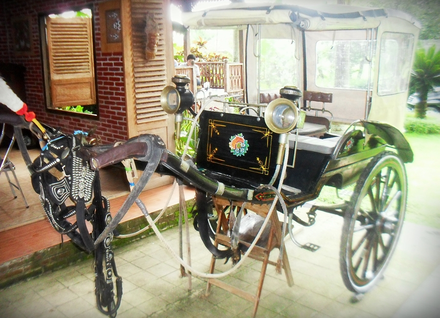 d'mange antique: Dokar Baron (DK 02)