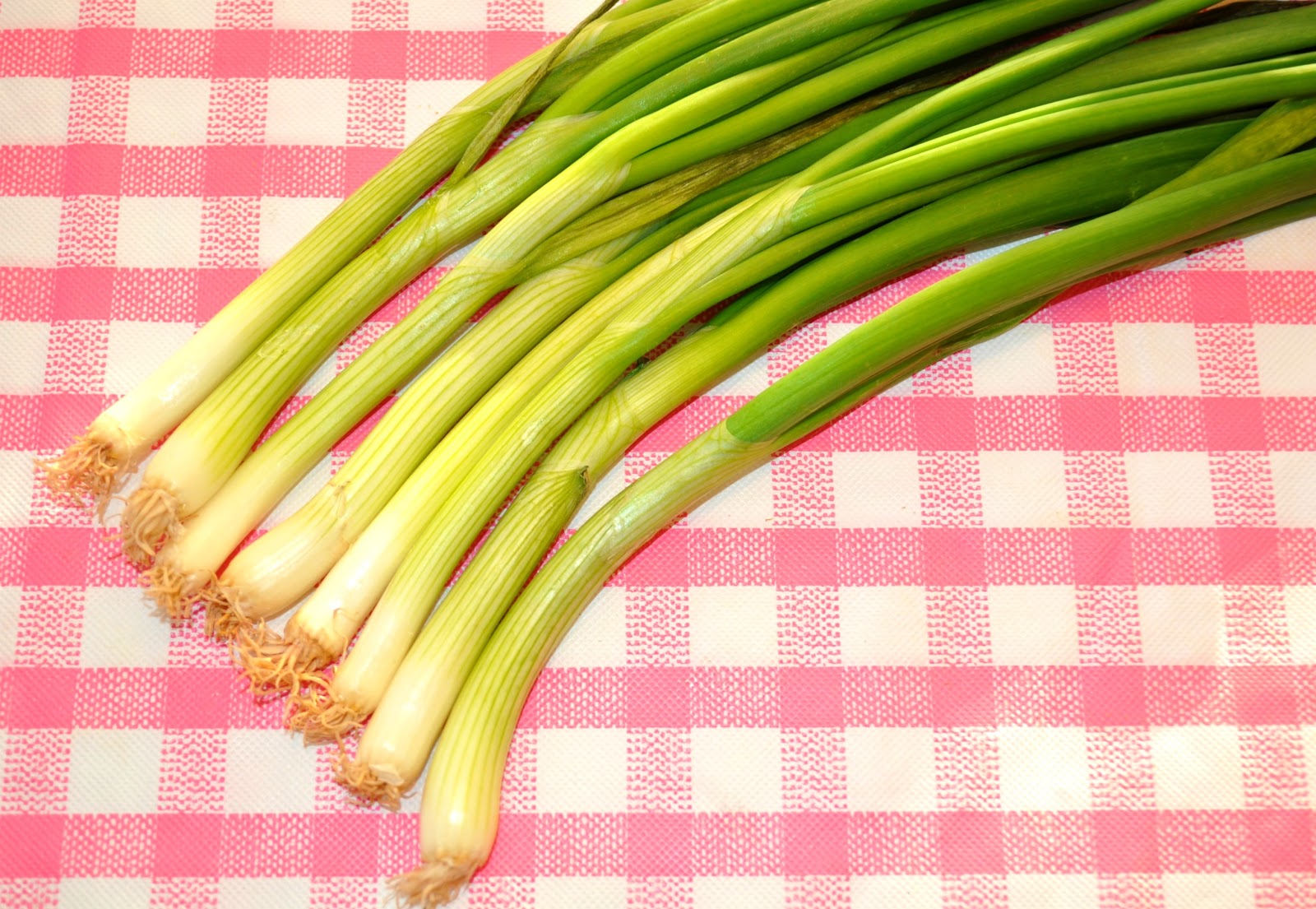 Holiday Sparkle: How To Grow Green Onions
