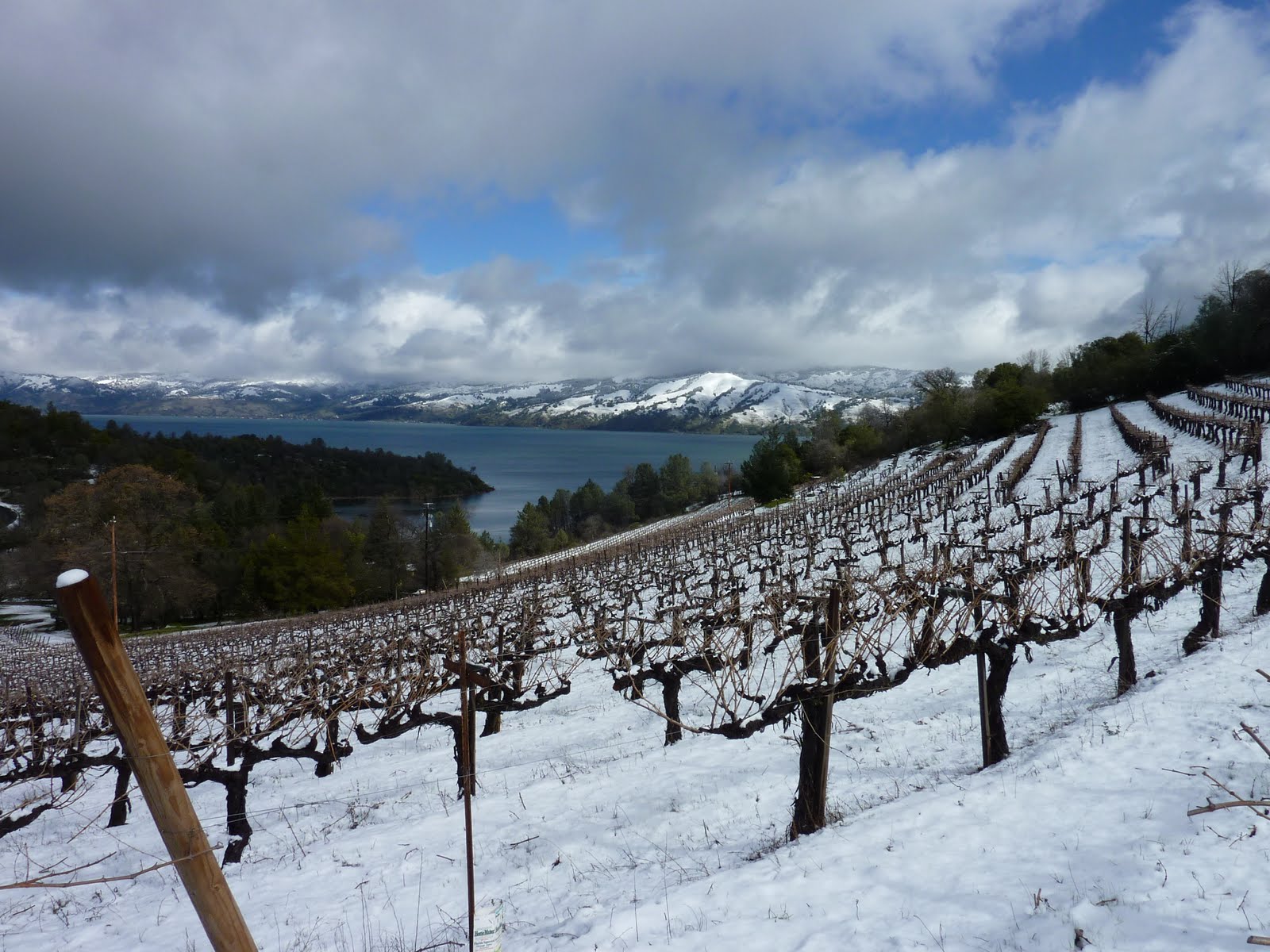 Dorn Vineyards/Loasa Farms: Snow!