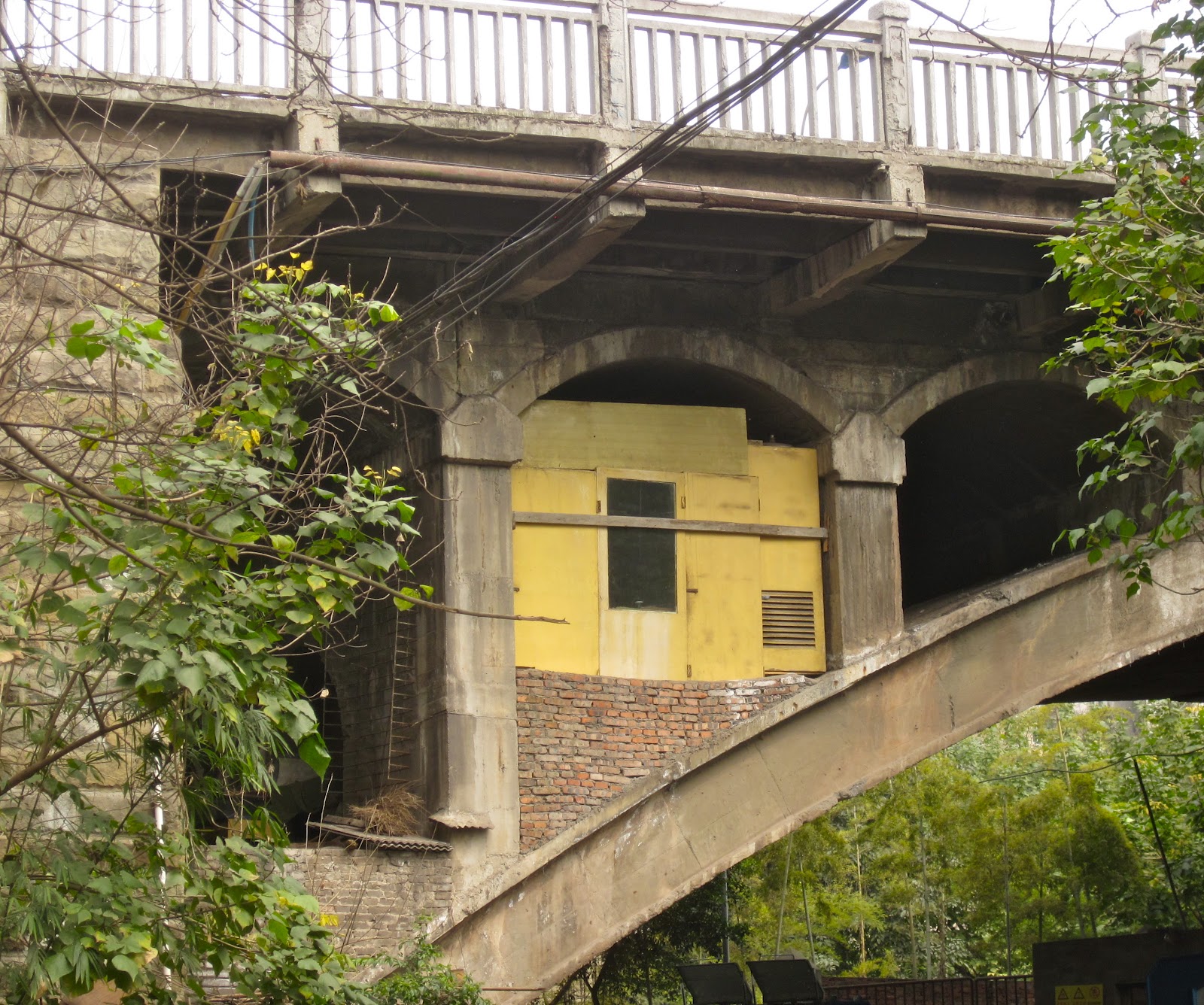 EcoRover: Coming Home to China