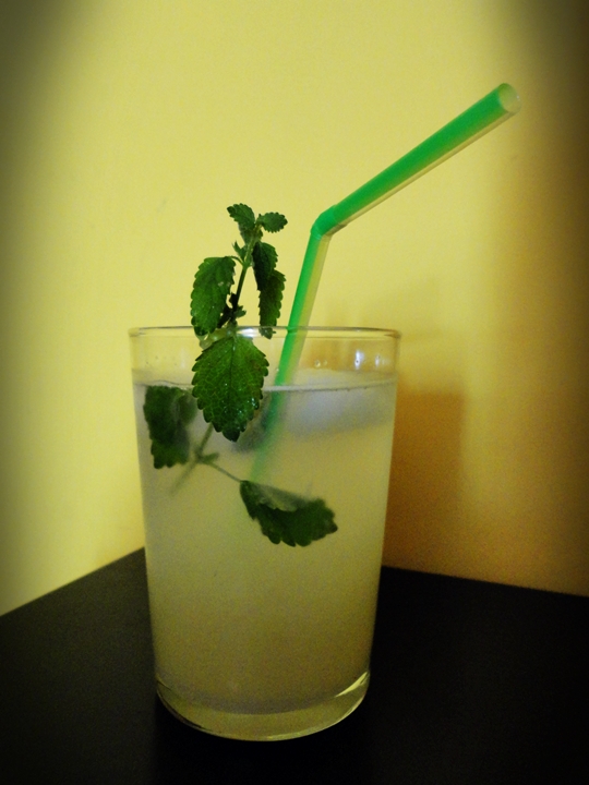 Mundos propios: LIMONADA NATURAL