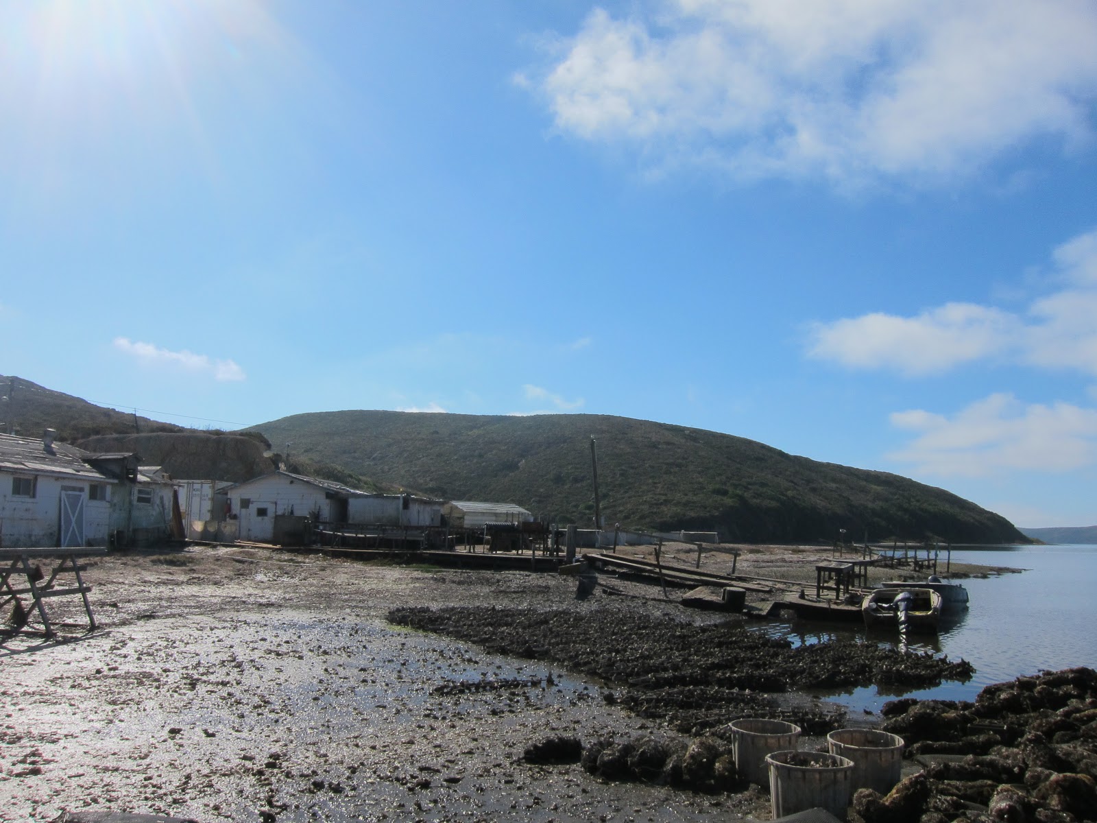 the naked kayaker: Drakes Estero, Point Reyes National Seashore