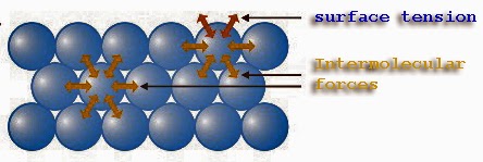 physics: Physics;Surface Tension High School