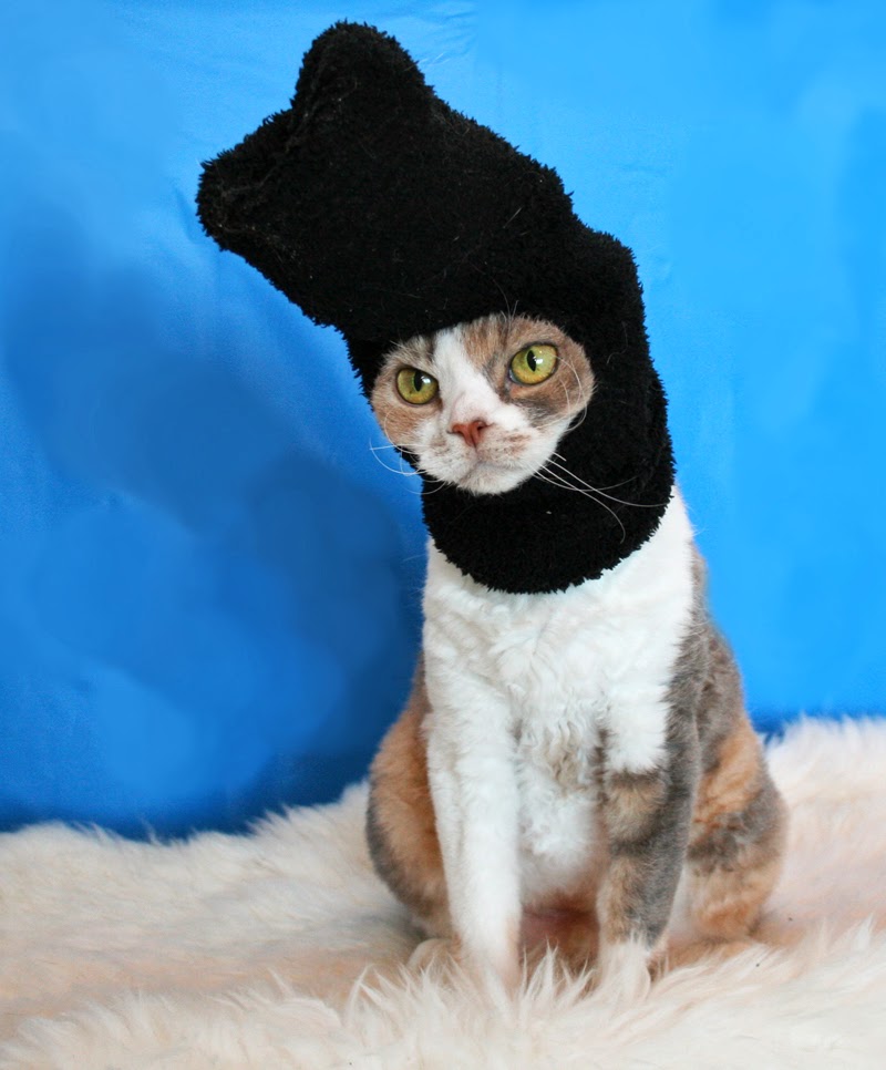 Daisy the Curly Cat: Stocking Mask