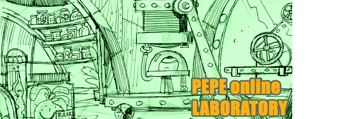 PEPE_ONLINE LABORATORY: 2D BUGSTED