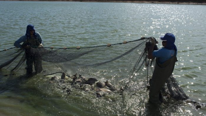 O extrativismo - Geografia - 4º ou 5º ano - Hora de Colorir ...