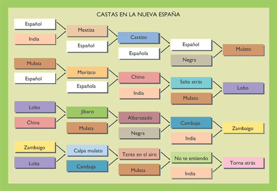 Historia Mexicana: Las Castas en la Nueva España