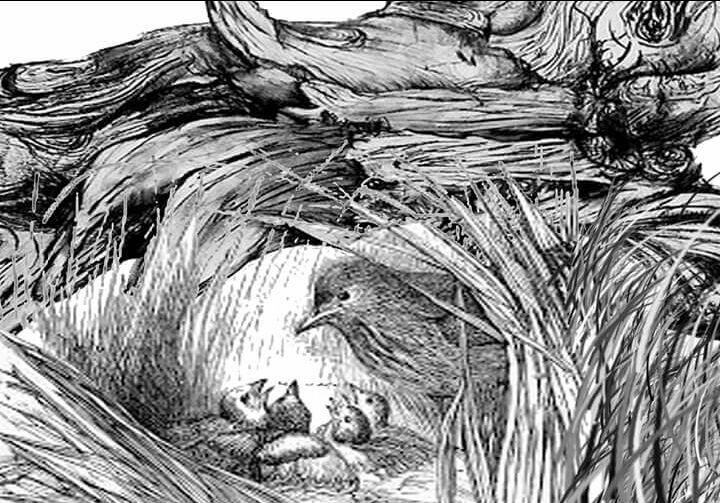 Burung dan anak-anaknya berada dalam rimbunan rumput dan ranting kering ...