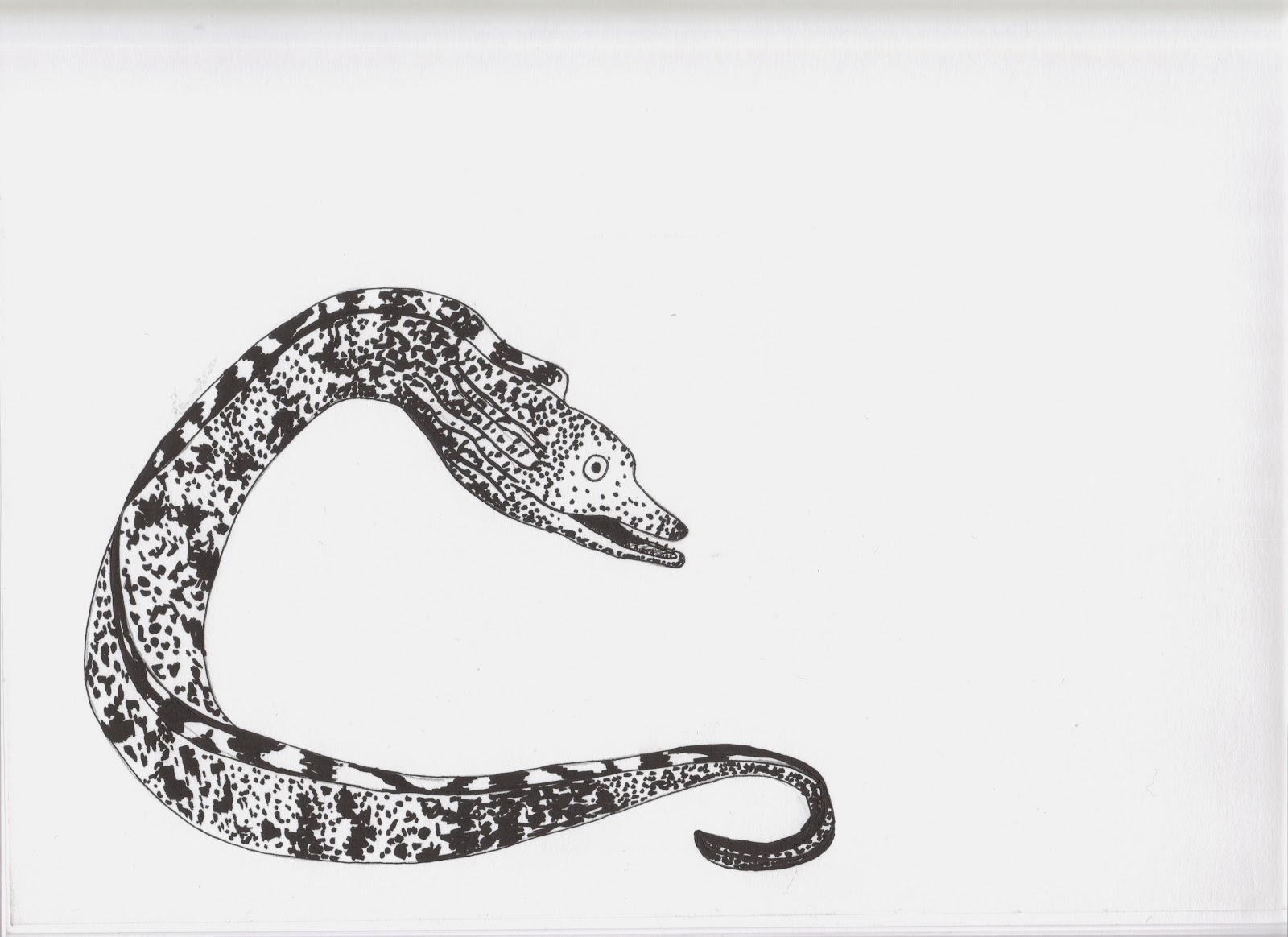 Paradis silencieux: Une autre murene