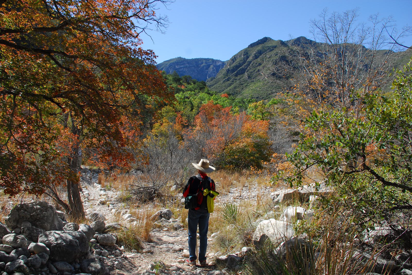 Texas Mountain Trail Daily Photo: Waiting for Fall Color!