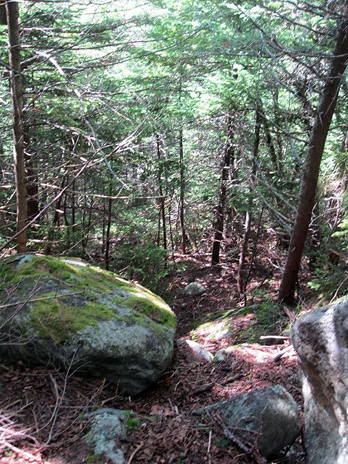 Hiking in the White Mountains: The Abandoned Adams Slide Trail