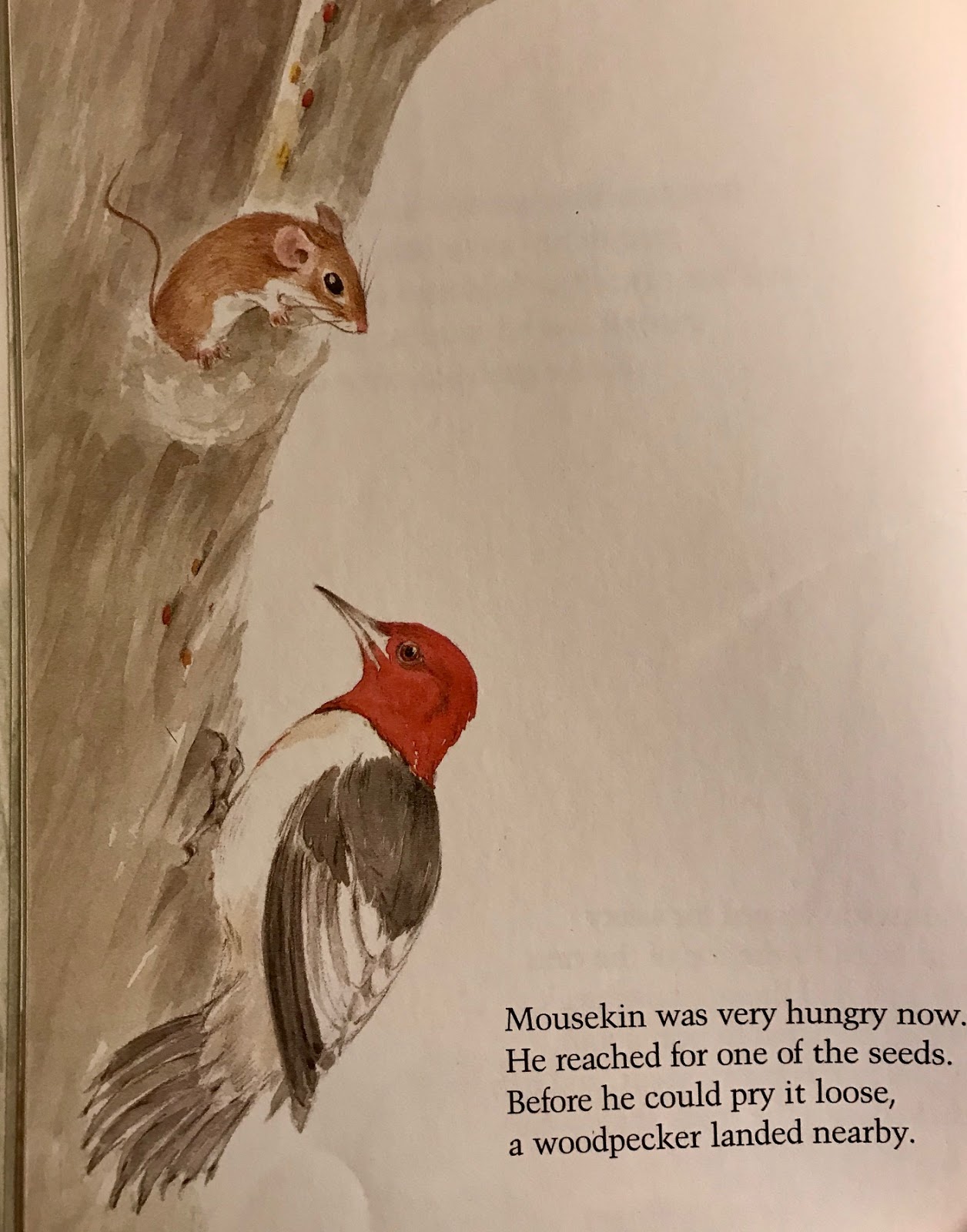 Everything Children's Literature: Mousekin's Thanksgiving