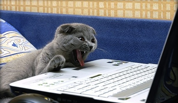 Il Disinformatico: TG1 e il “grazie Berlusconi” fantasma