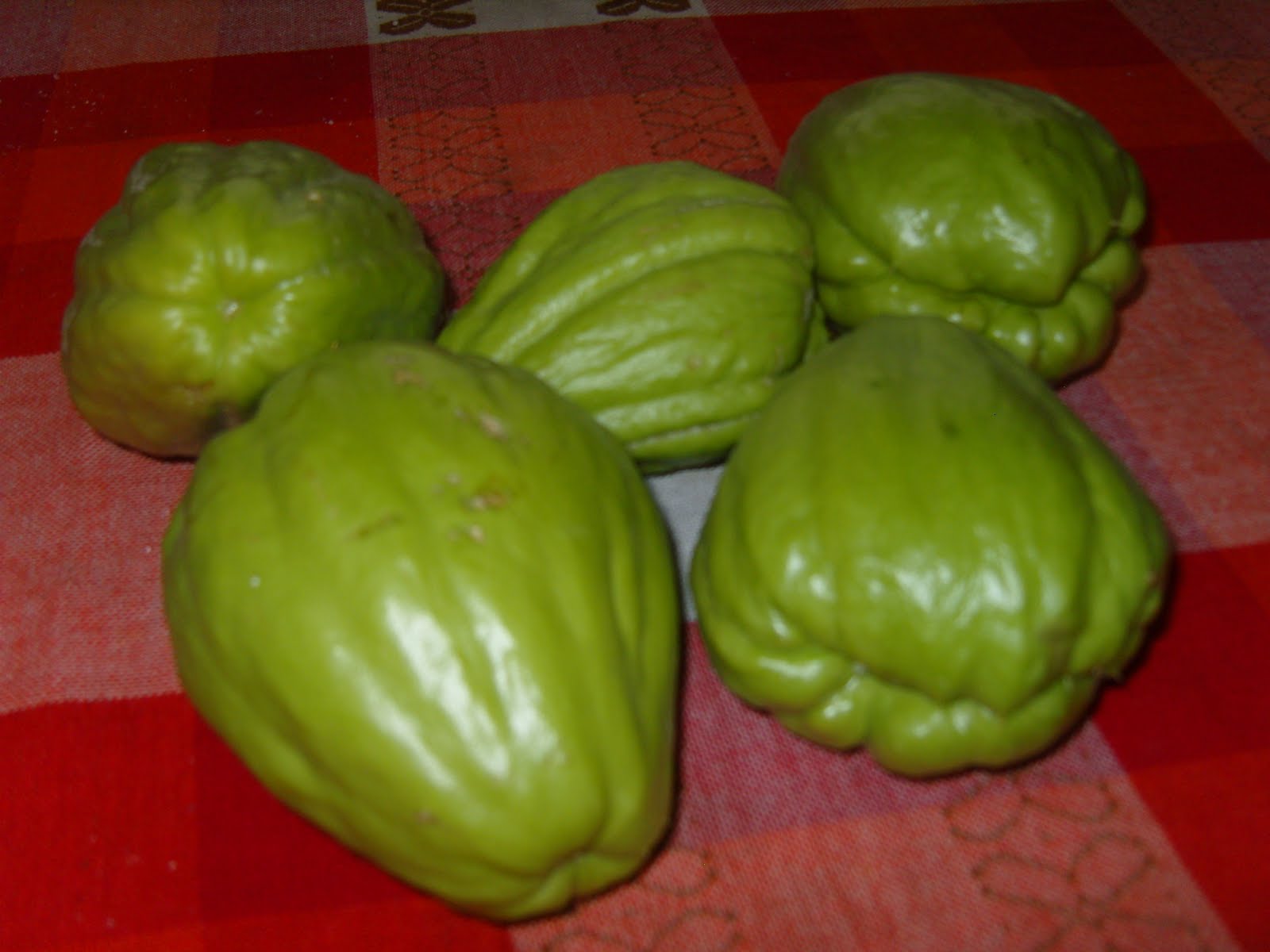 Barb'sBackyard: Choko Mustard Pickle