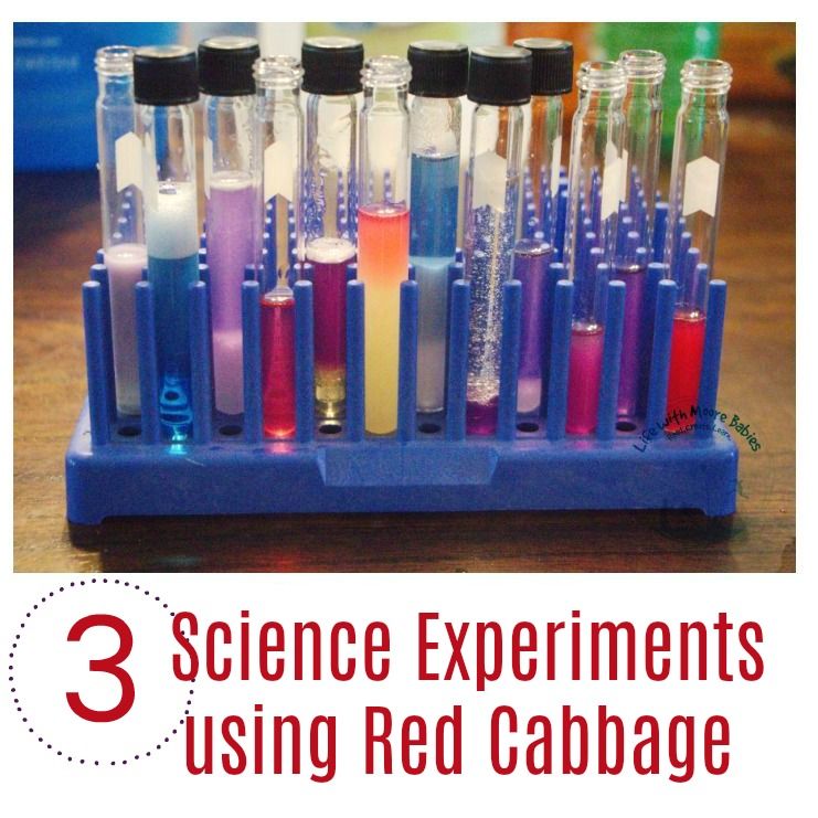 Simple and Colorful Science with Acids, Bases, and Red Cabbage - Life ...