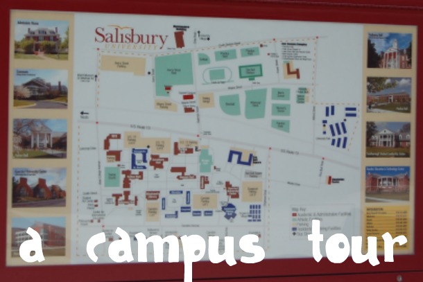 Donna's Decembers: Salisbury University: a campus tour