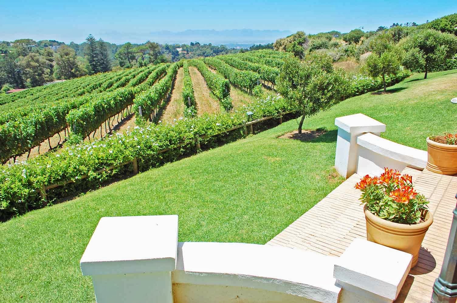 .: The new tasting room at Constantia Glen