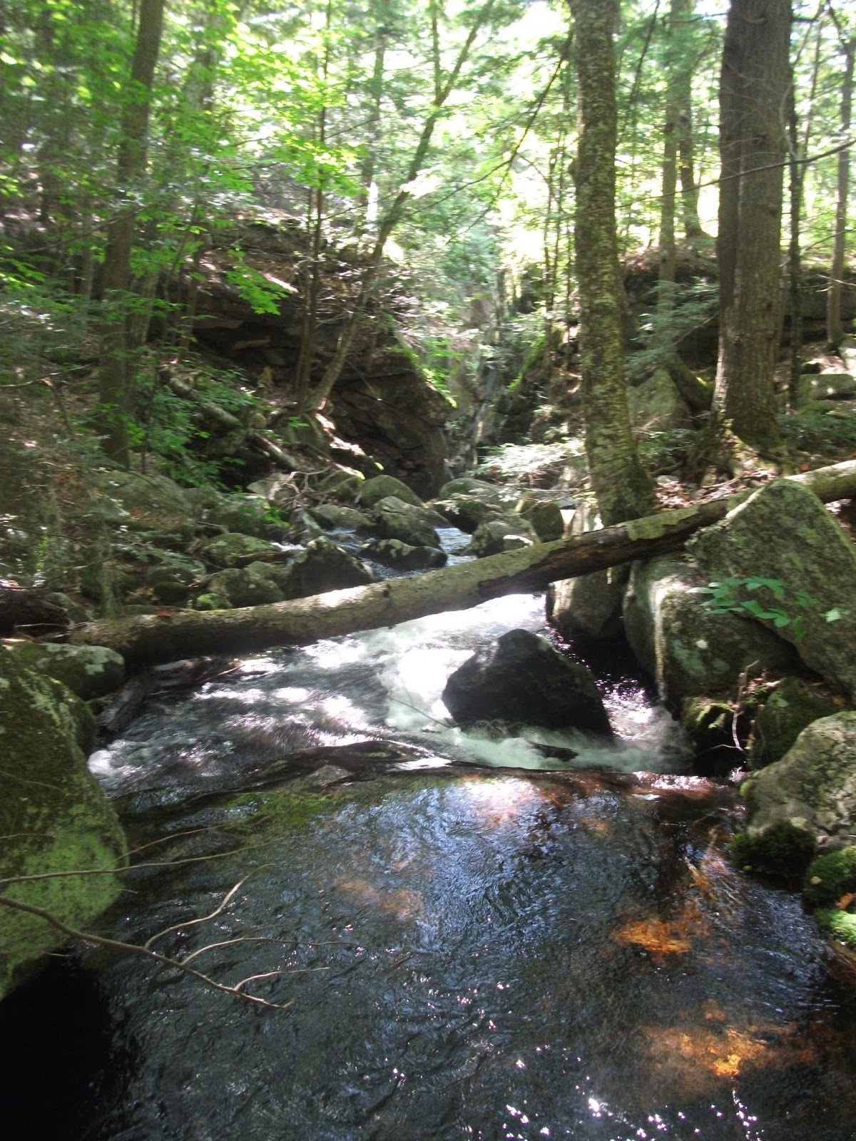 Sweet Adventures : Kezar Falls Gorge
