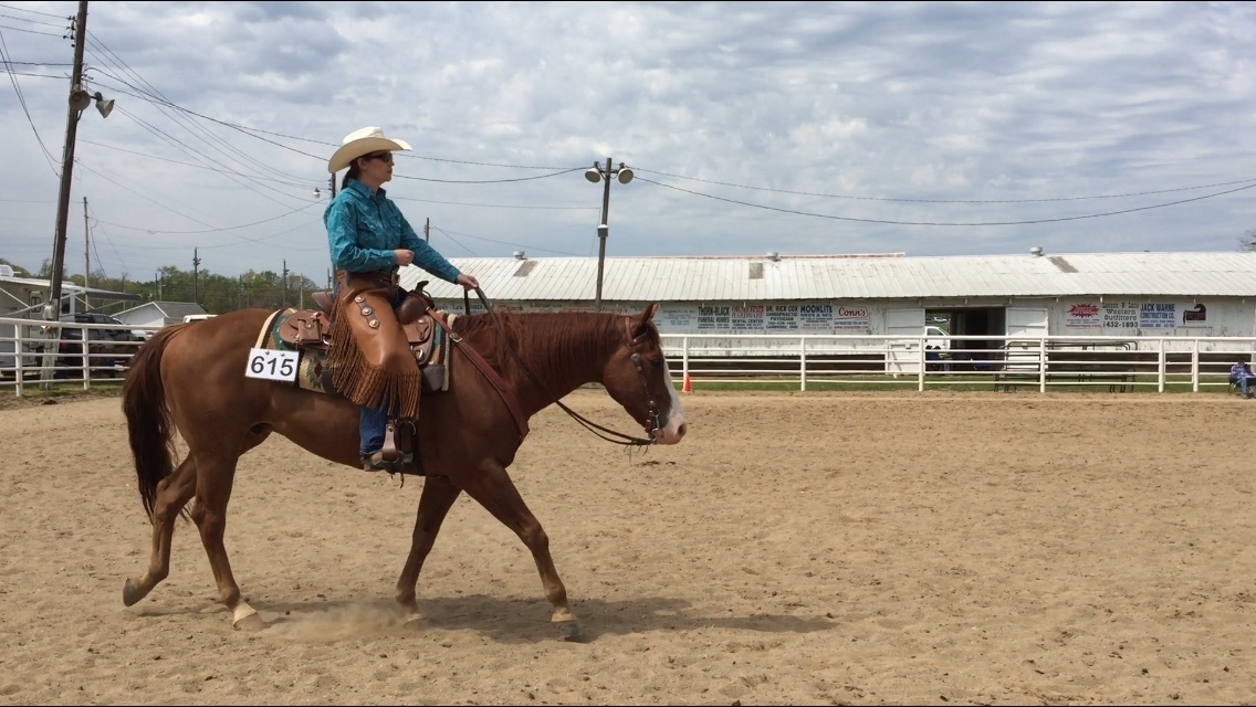 Diary of the Overanxious Horse Owner: May 2016 Ranch Horse Show