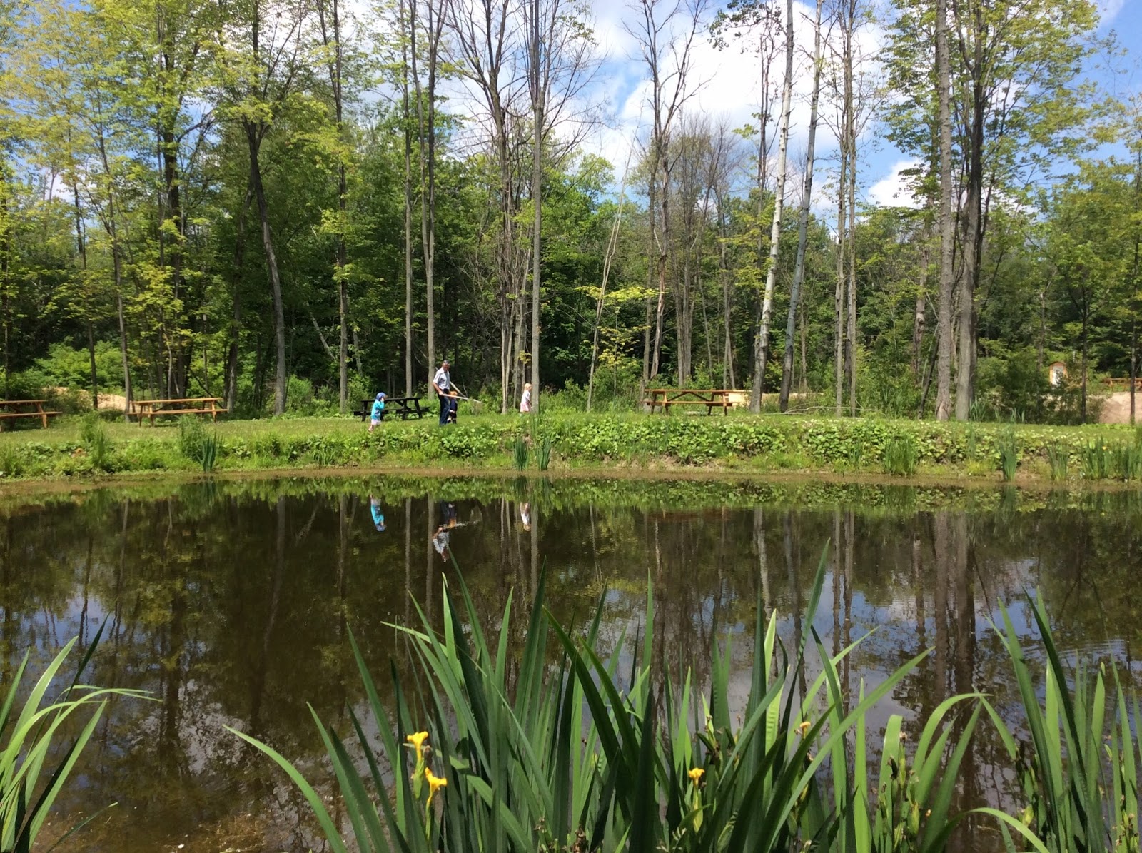 Experience Elgin: Solitude Nature Reserve – A Reprieve from the Digital Age