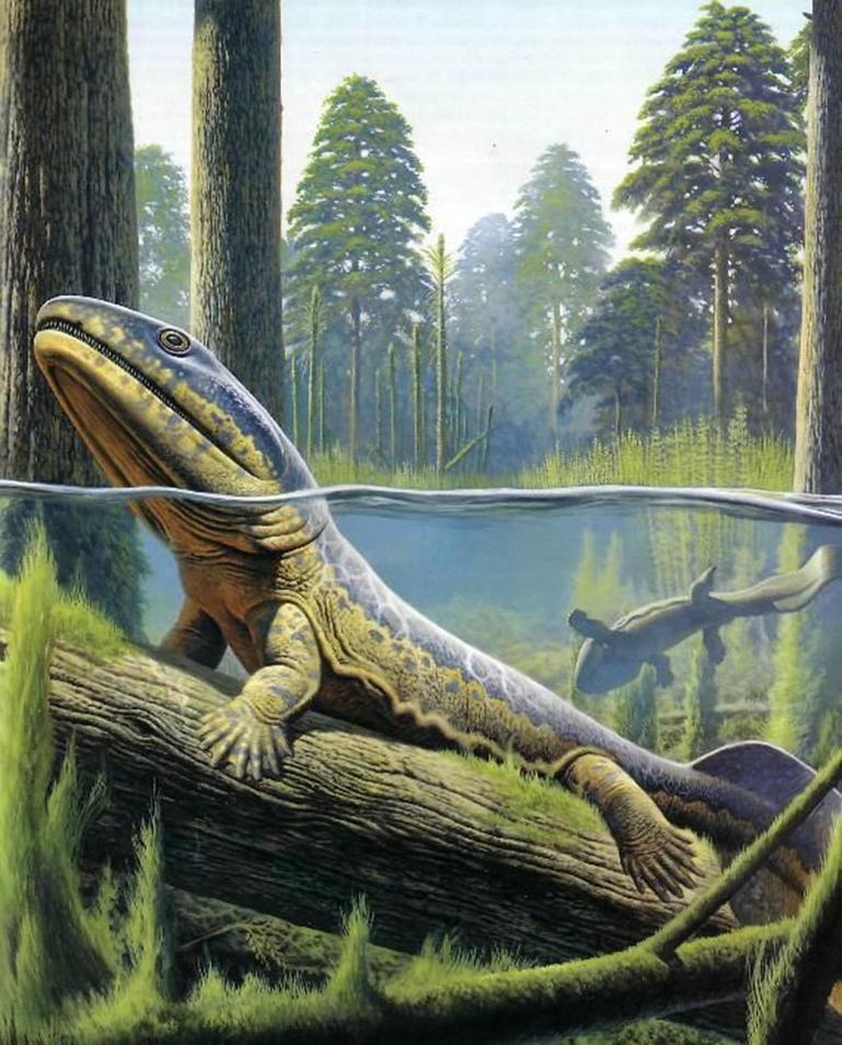 Blog de la Vida Prehistórica: Acanthostega