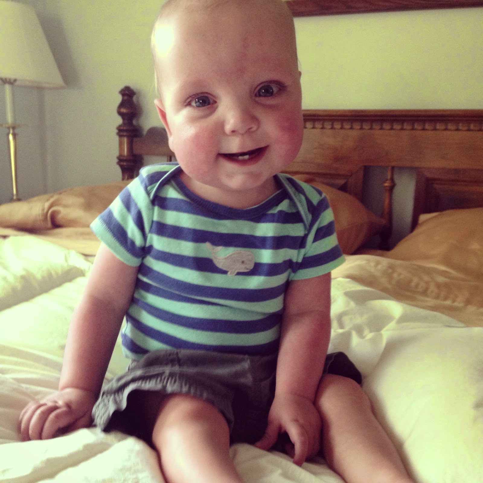 Bailey Beginnings: A Fresh Look at a New Life