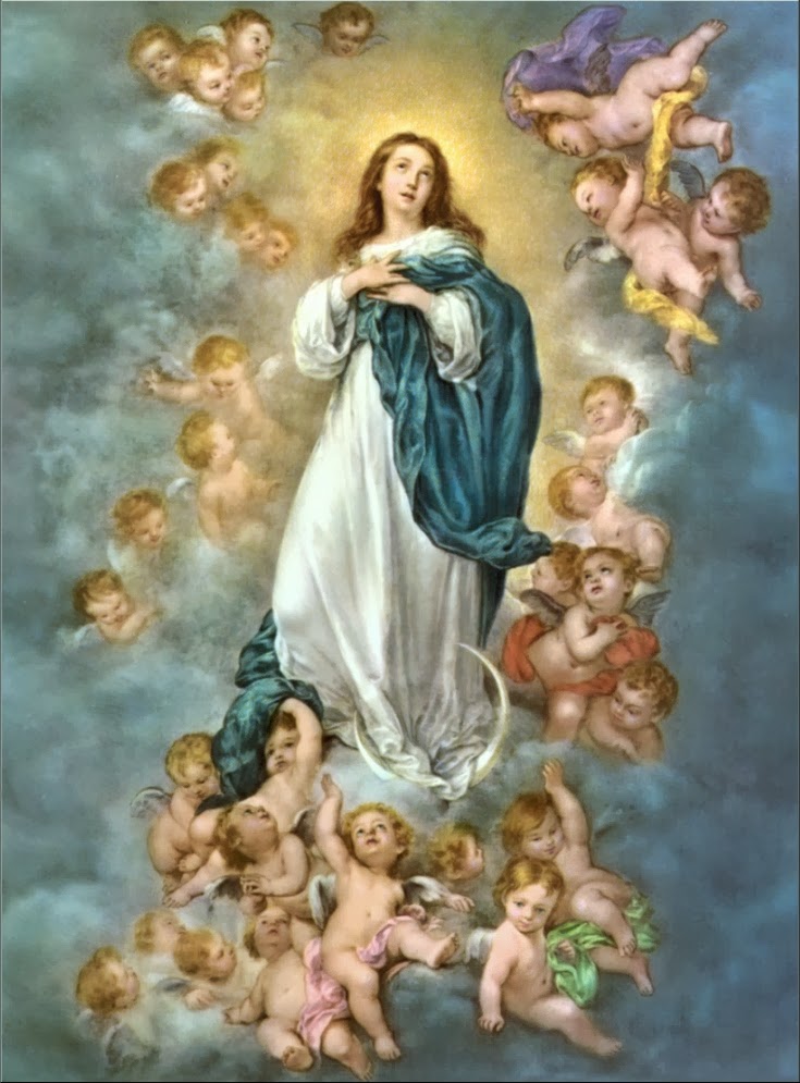 Dom Donald's Blog: Month of the Immaculate Conception