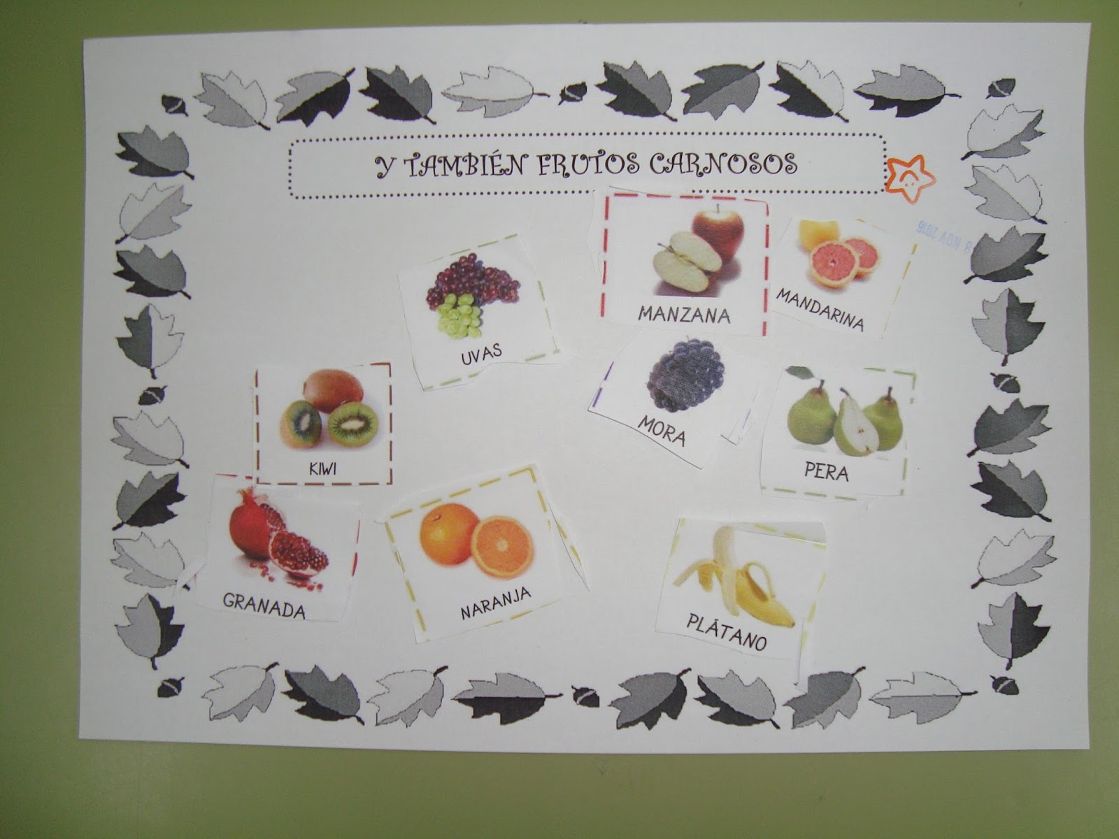 Plastificando ilusiones: Hay frutos secos y frutos carnosos