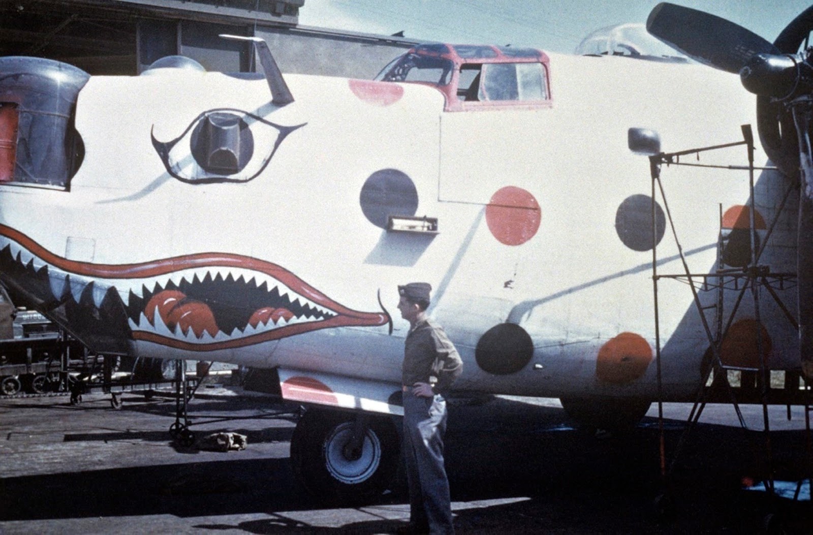 50 Color Vintage Photographs That Capture Amazing Nose Art Painted on ...
