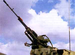 welcome to the world of weapons: NSV machine gun