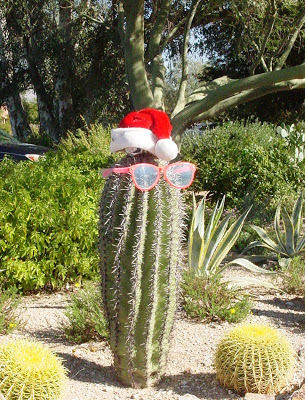 Tucson Daily Photo ~: December 2012