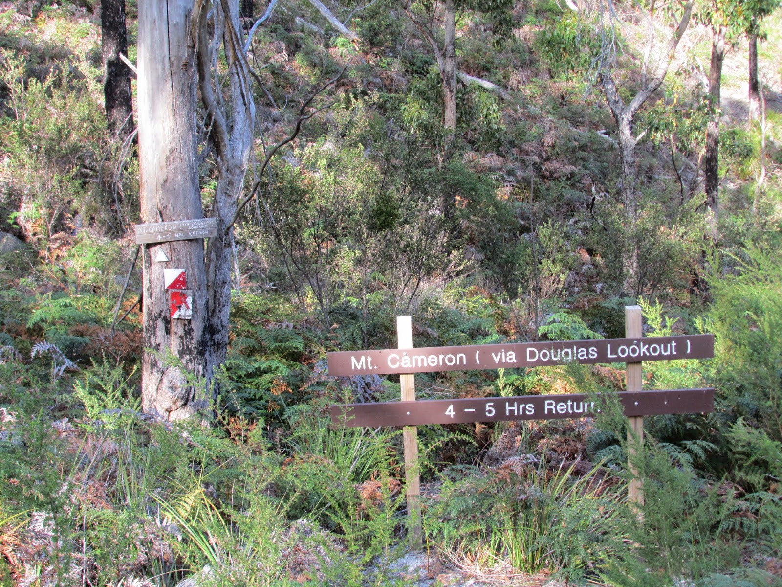 Mount Cameron - Northern Tasmania | Hiking South East Tasmania