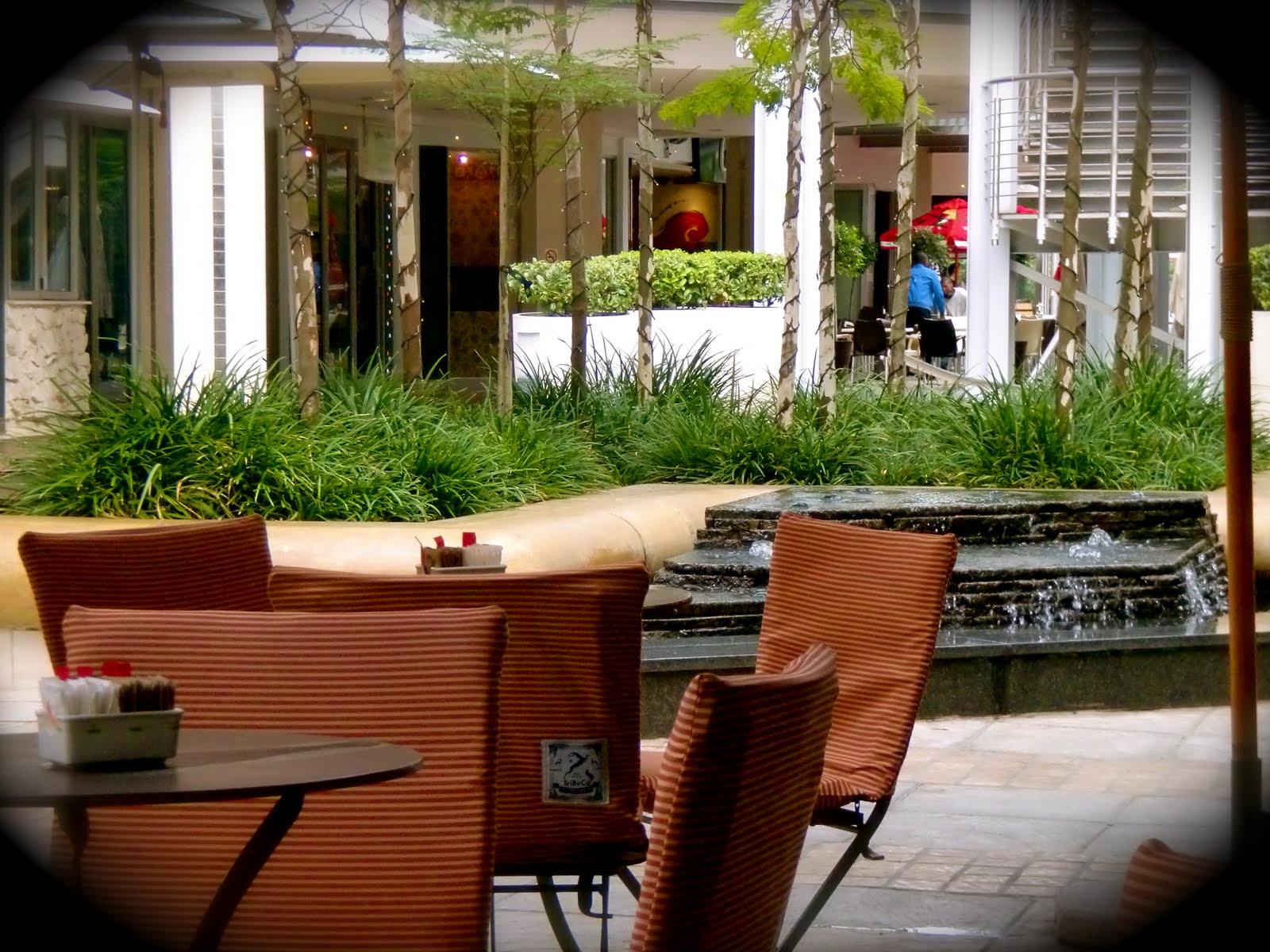 Get Good Again: TriBeca Coffee Shop