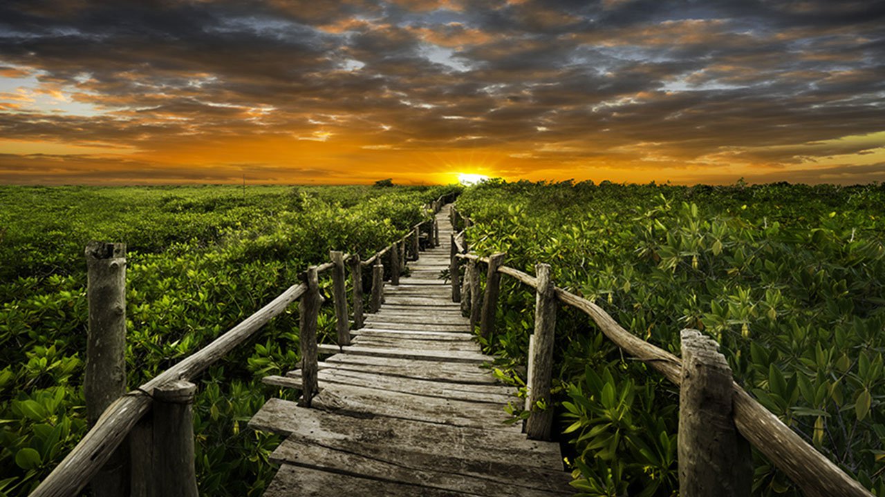 El Ángel del Bien: Filosofía natural