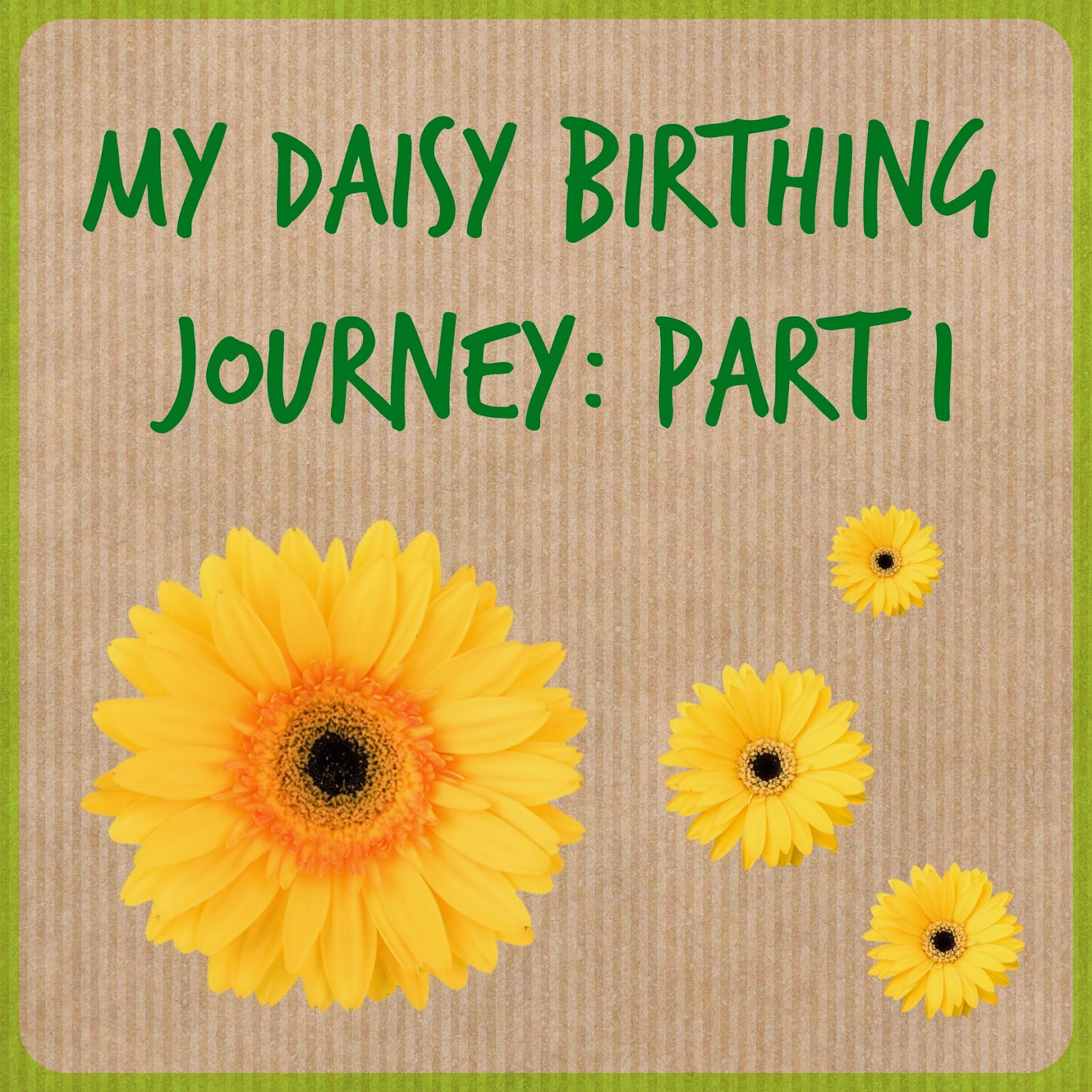 My Daisy Birthing journey: part 1 - Tin Box Traveller